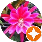 Inspan Procedure | Minimally Invasive Spinal Stabilization