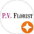 Inspan Procedure | Minimally Invasive Spinal Stabilization